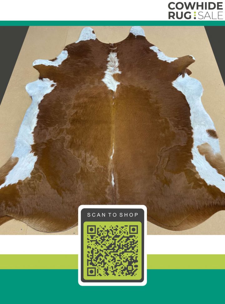 Small Longhorn Cow Skin 5′ x 6′ LH-30-479 | COWHIDE RUG SALE