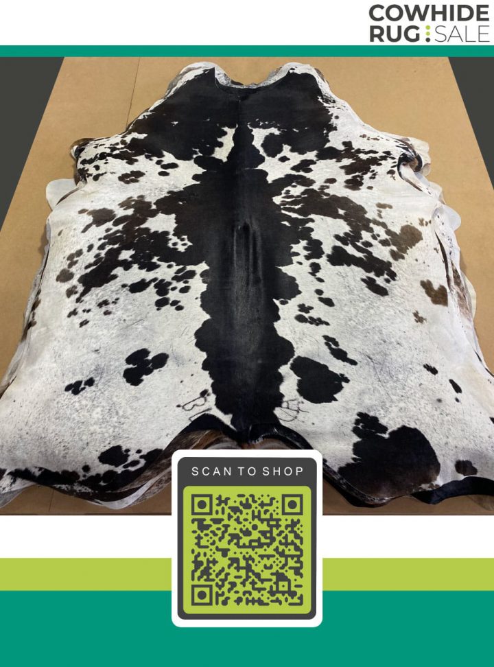 Small Longhorn Cow Skin 5′ x 6′ LH-30-479 | COWHIDE RUG SALE