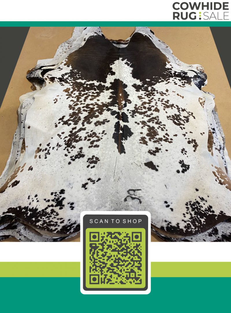 Small Longhorn Cow Skin 5′ x 6′ LH-30-479 | COWHIDE RUG SALE